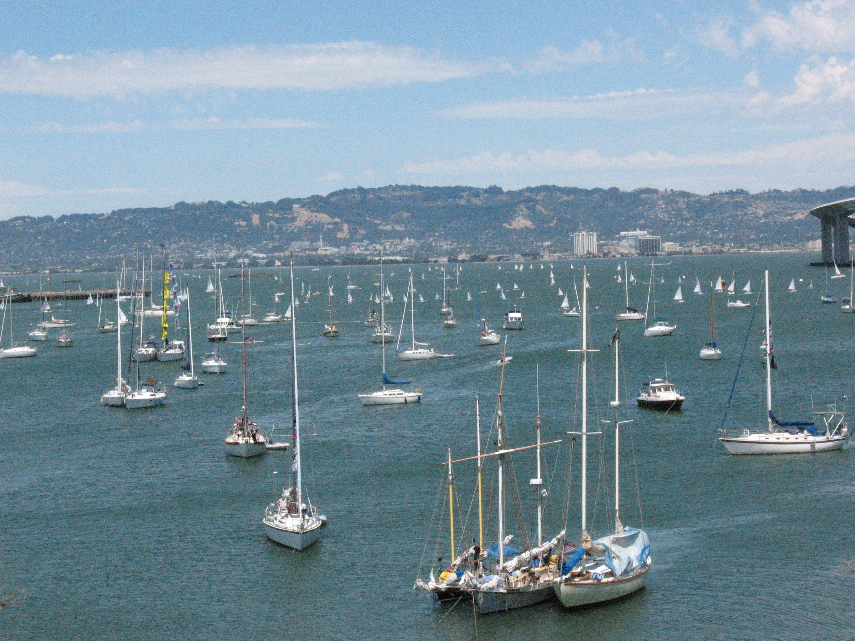 Celebrate the Summer Sailstice